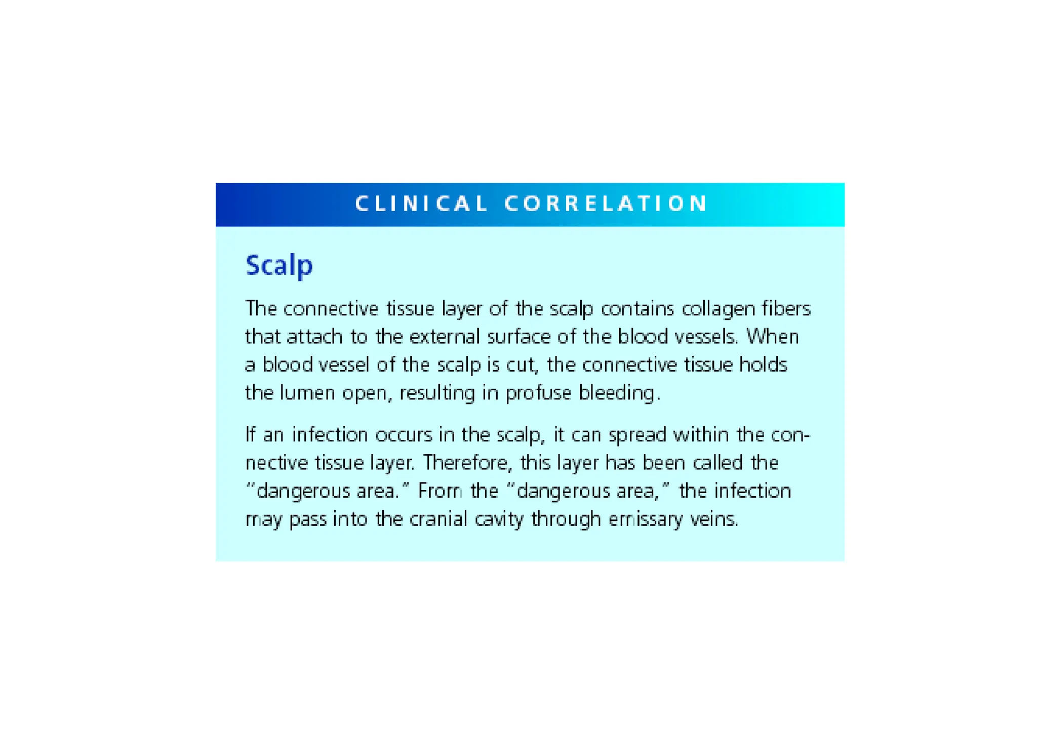Head & neck-scalp anatomy for study purpose | PDF