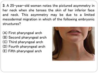 Head & neck anatomy and neuroanatomy multiple choice questions | PPTX