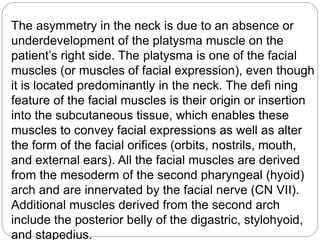 Head & neck anatomy and neuroanatomy multiple choice questions | PPTX