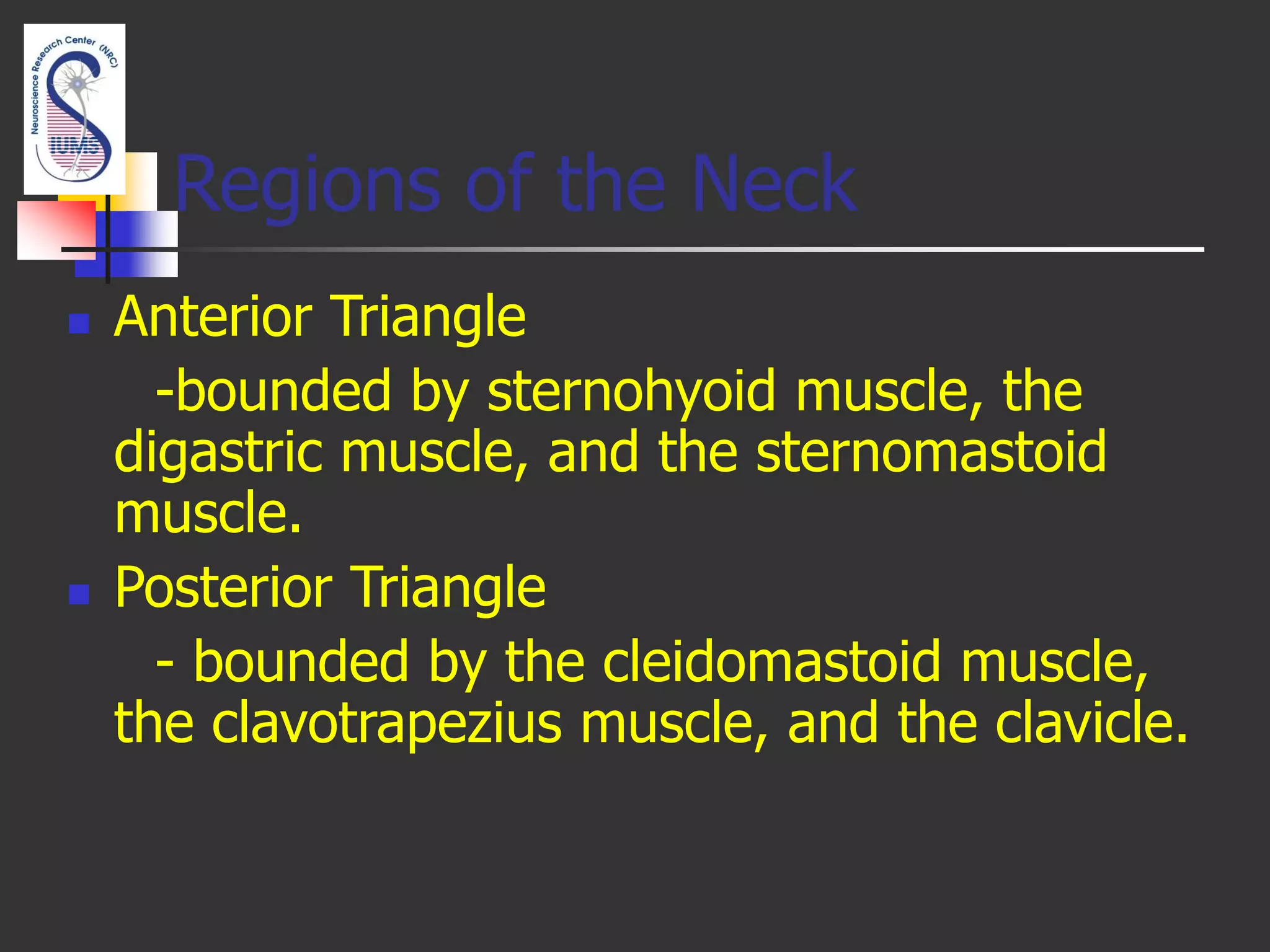 Head & neck anatomy session iii & iv neck | PPT