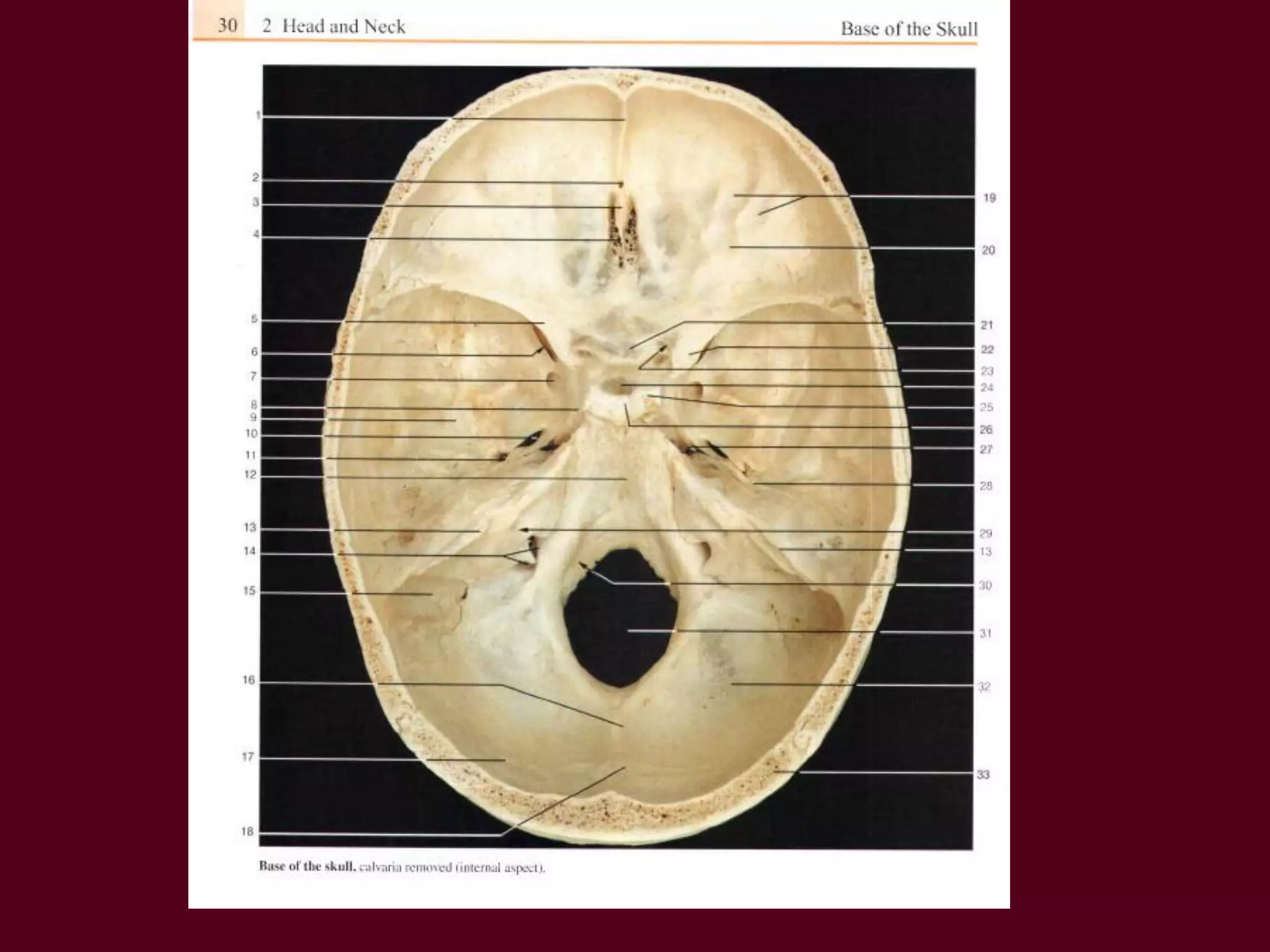 Head & neck anatomy session iii & iv neck | PPT