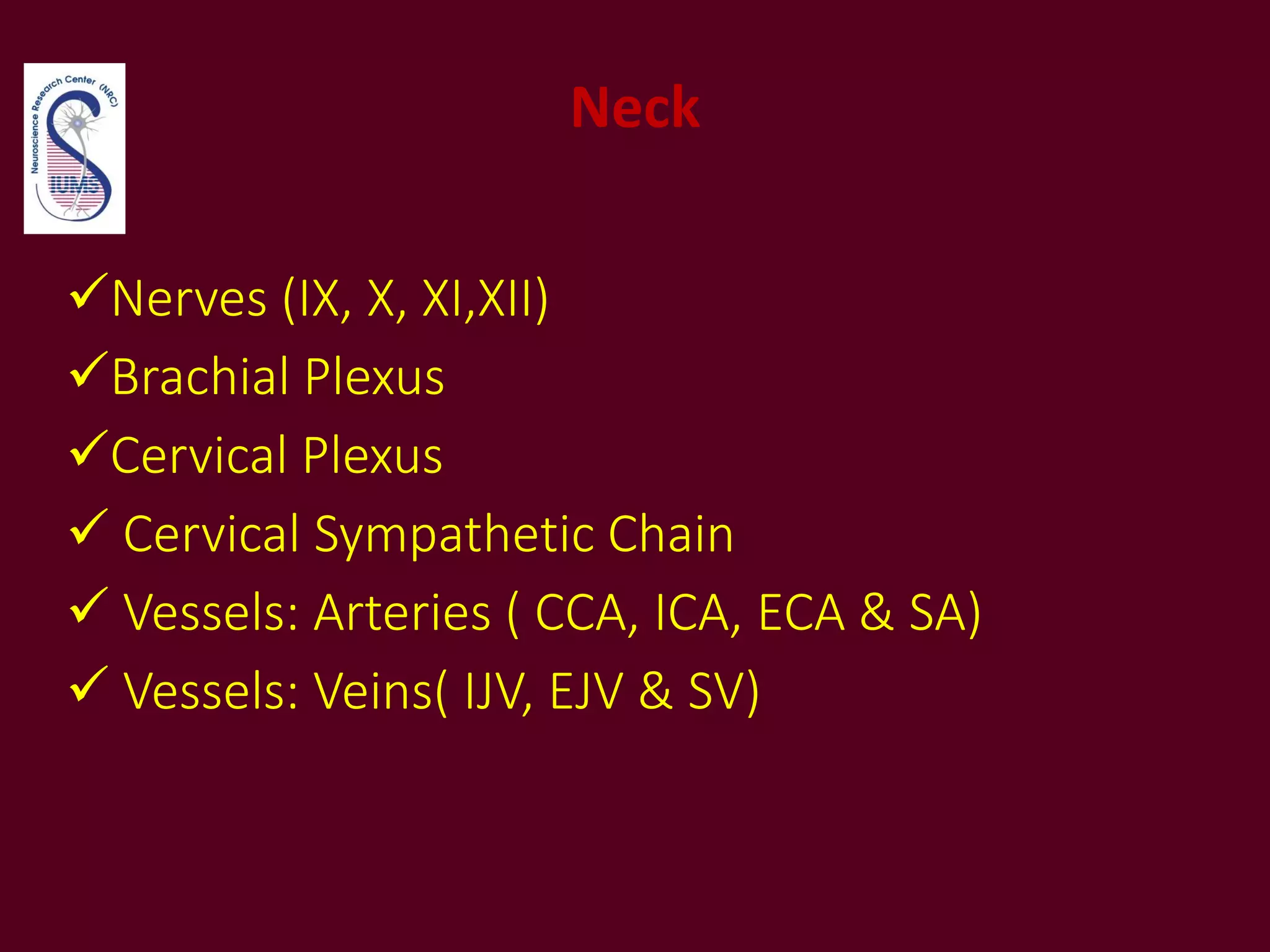 Head & neck anatomy session v & vi neck nerves and vesseles 18 08-99 | PDF