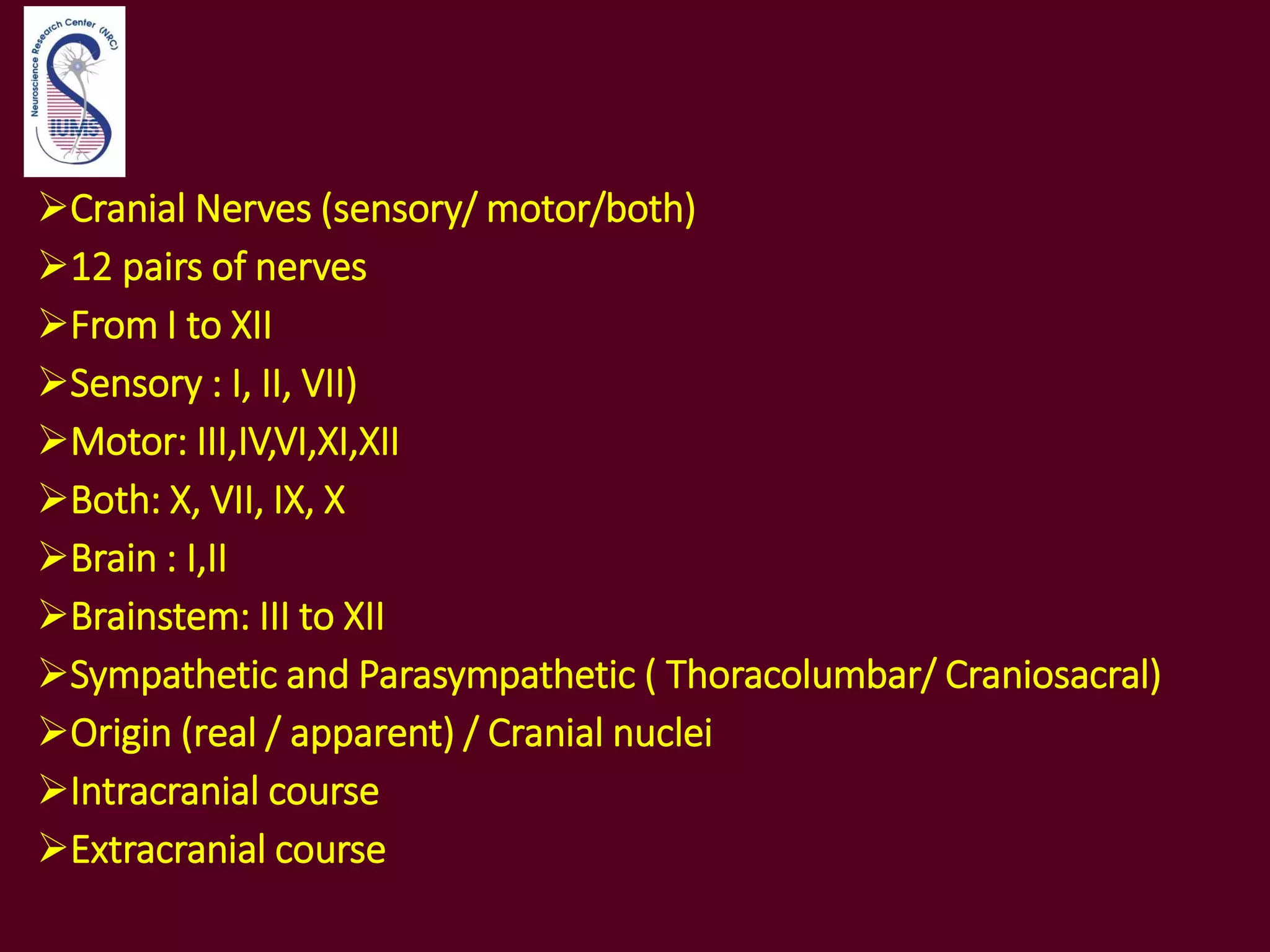 Head & neck anatomy session v & vi neck nerves and vesseles 18 08-99 | PDF