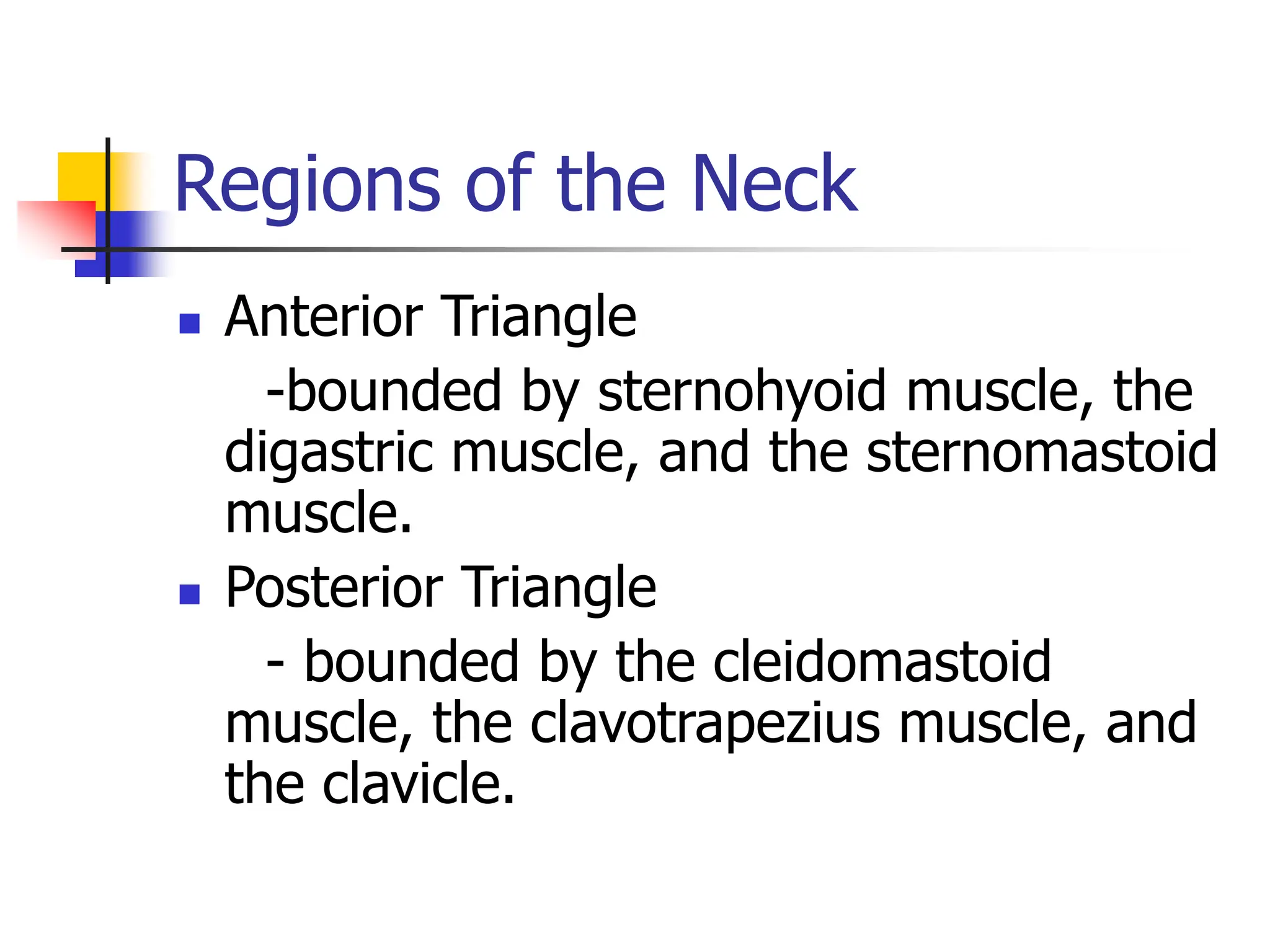 Introduction to Anatomy of Head Neck.ppt
