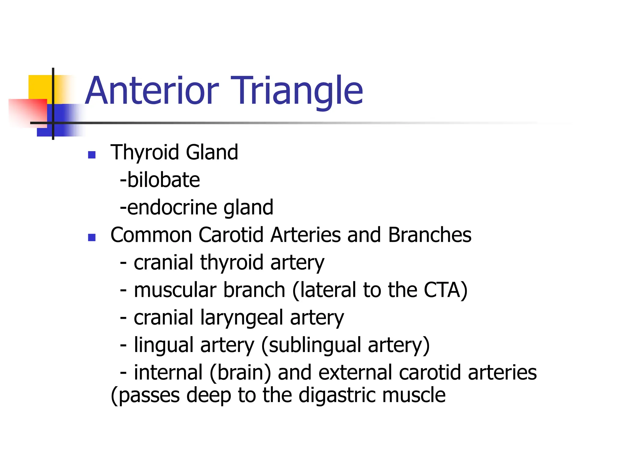 Introduction to Anatomy of Head Neck.ppt