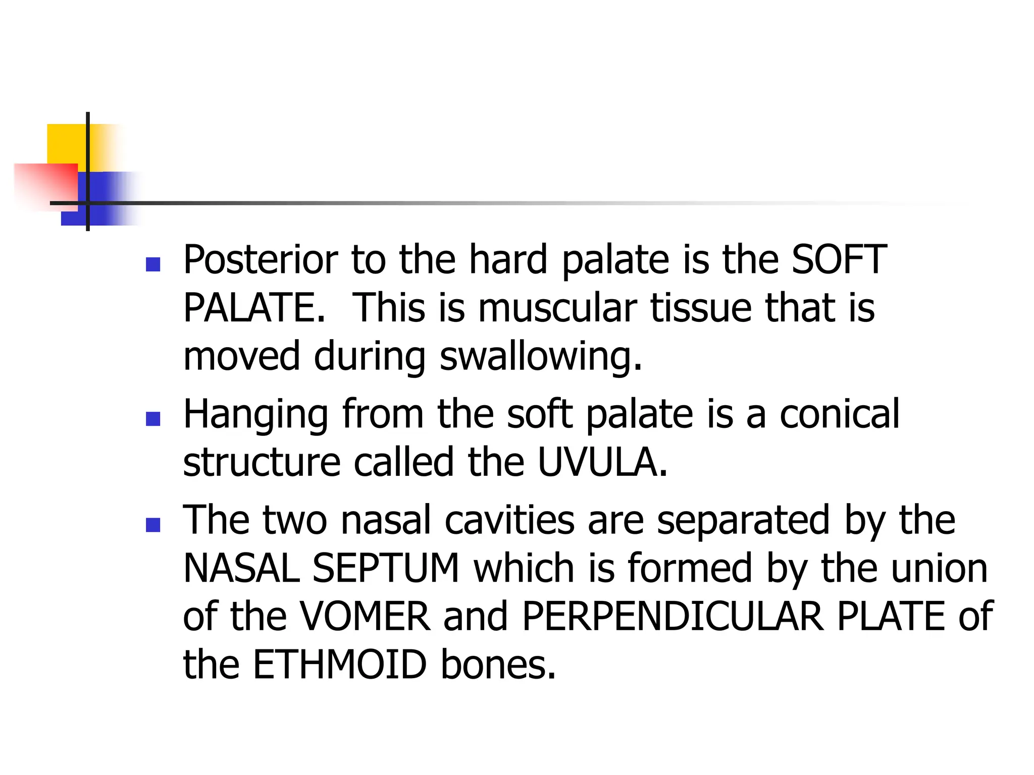 Introduction to Anatomy of Head Neck.ppt