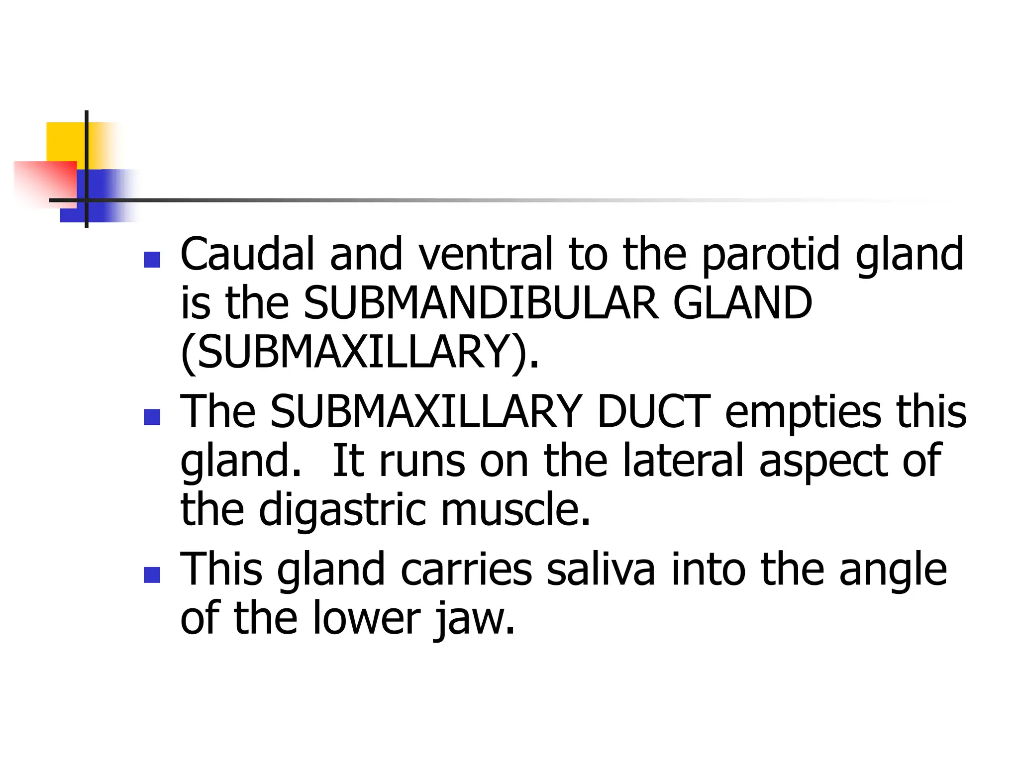 Introduction to Anatomy of Head Neck.ppt