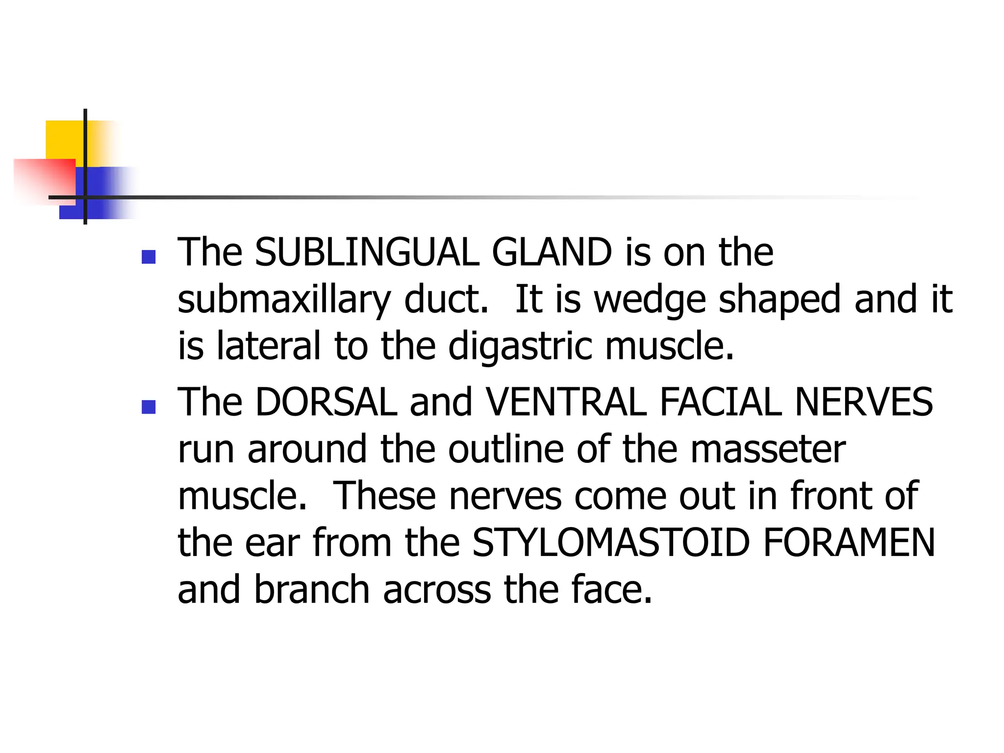Introduction to Anatomy of Head Neck.ppt