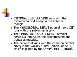 Introduction to Anatomy of Head Neck.ppt