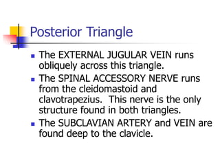Introduction to Anatomy of Head Neck.ppt