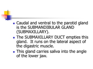 Introduction to Anatomy of Head Neck.ppt