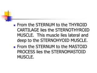 Introduction to Anatomy of Head Neck.ppt