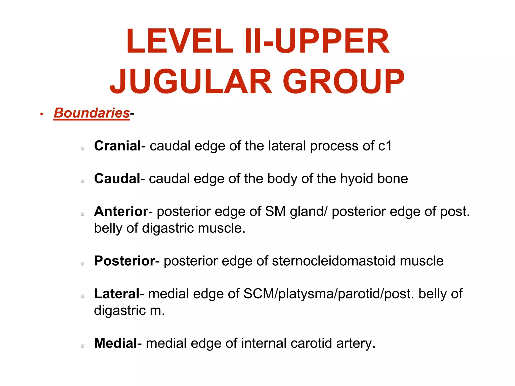 Head n neck nodal delineation ppt | PPTX