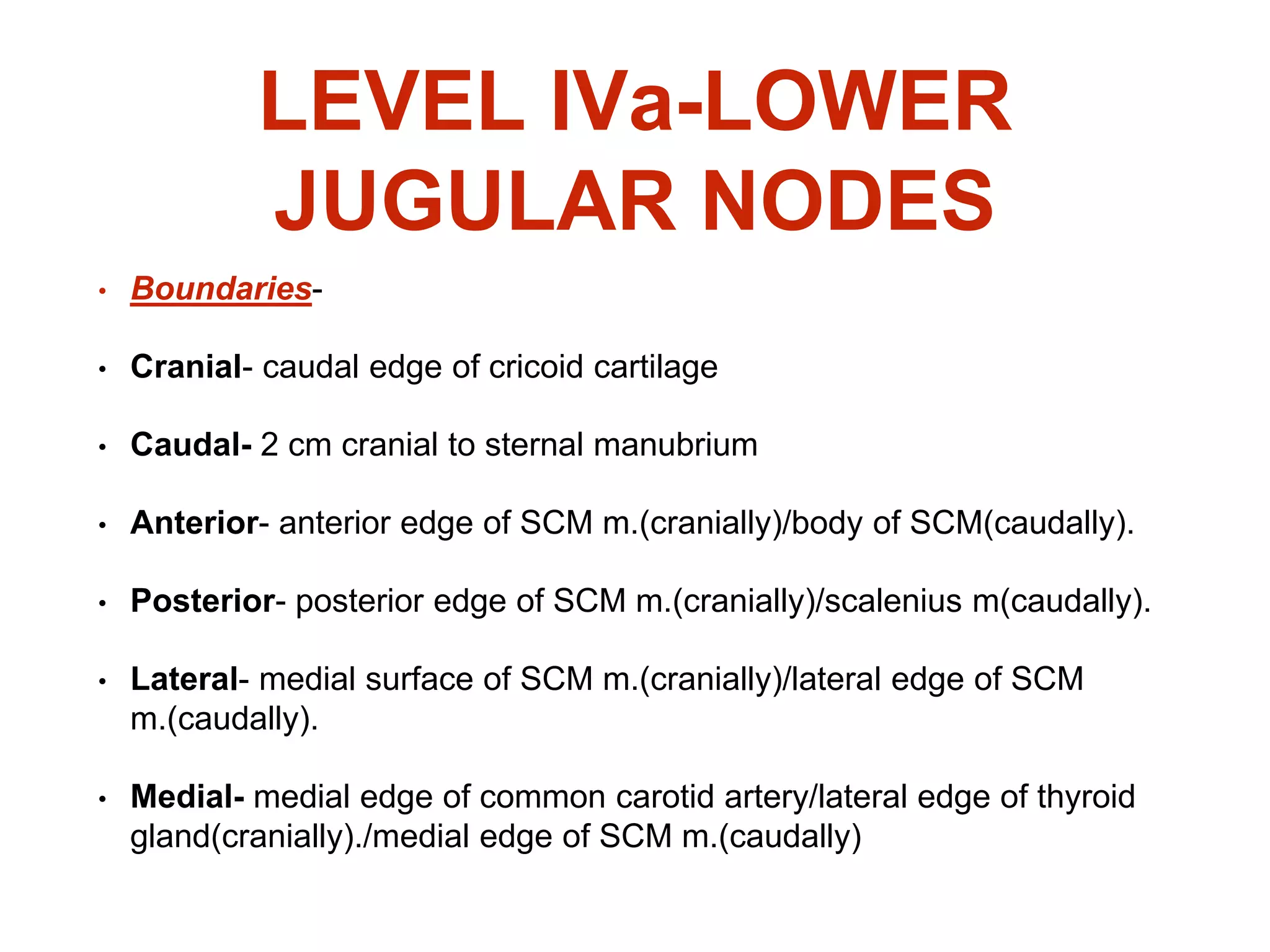 Head n neck nodal delineation ppt | PPTX
