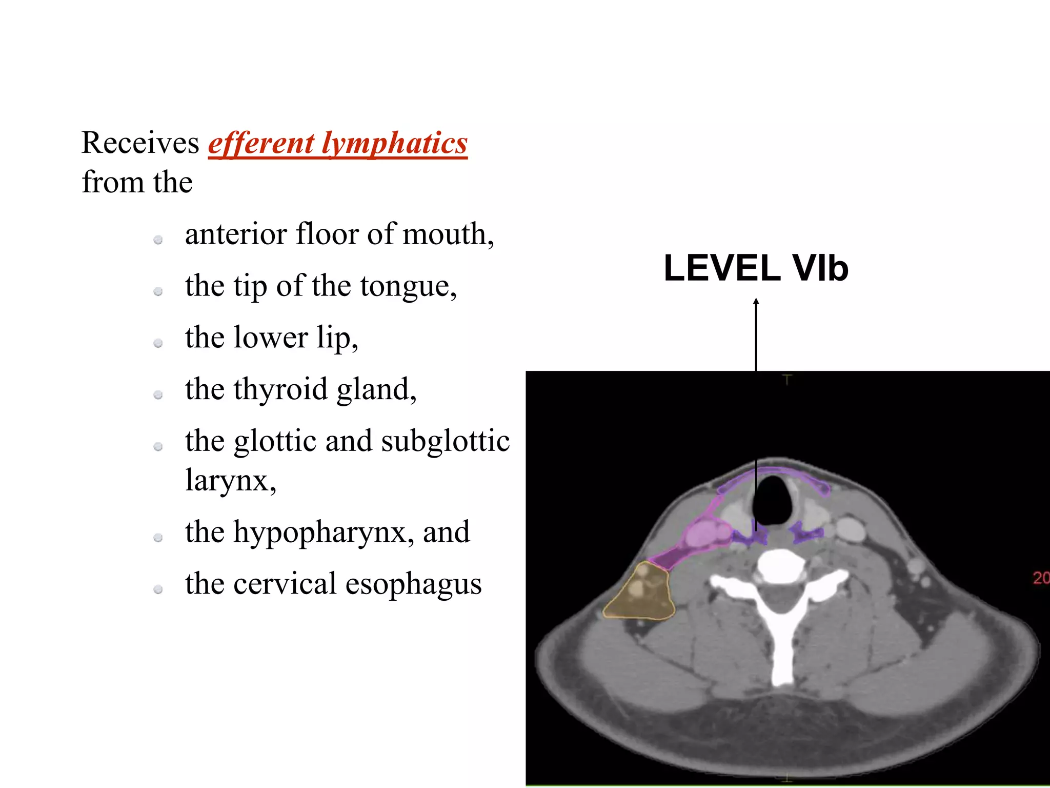 Head n neck nodal delineation ppt | PPTX