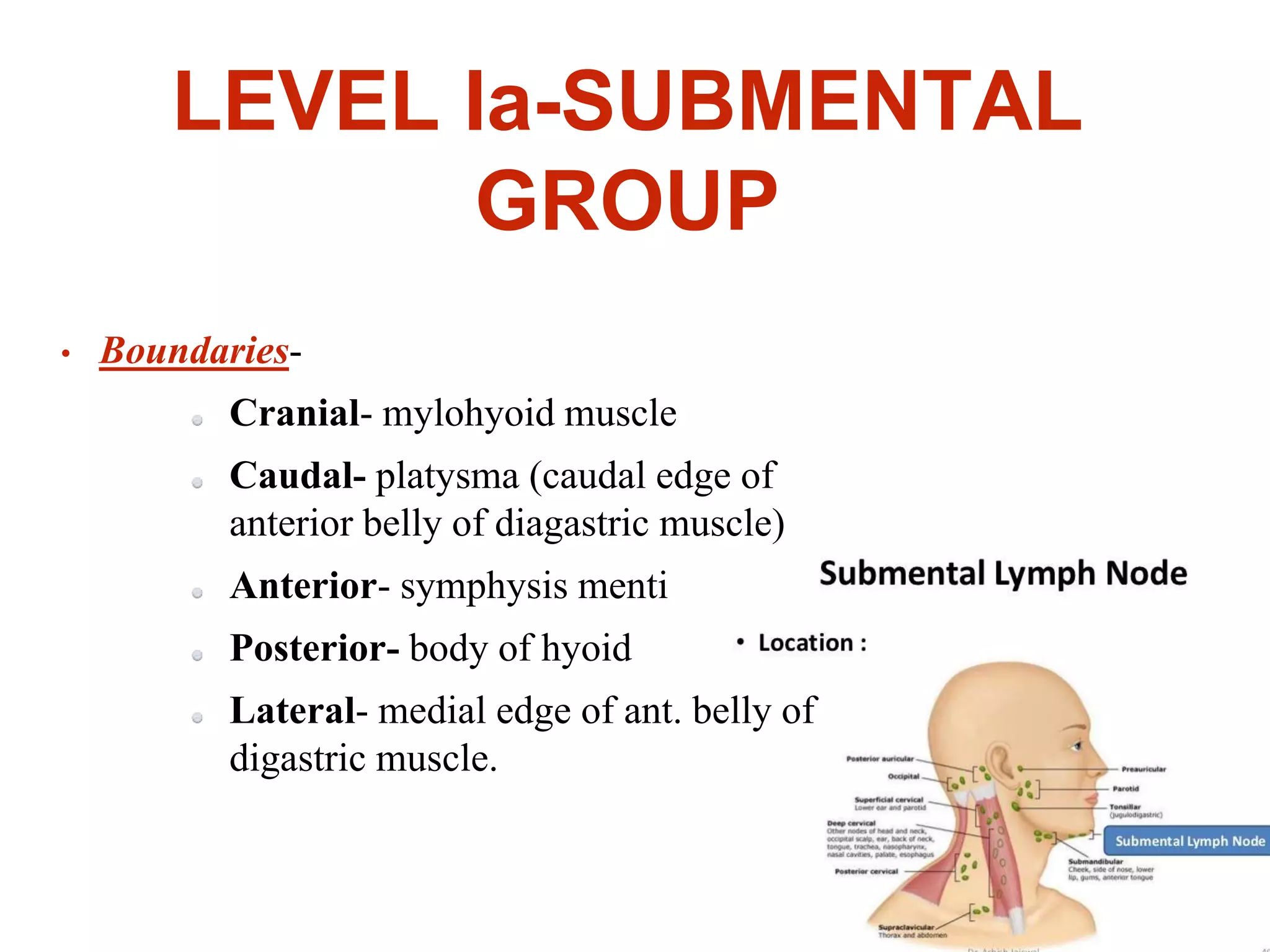 Head n neck nodal delineation ppt | PPTX