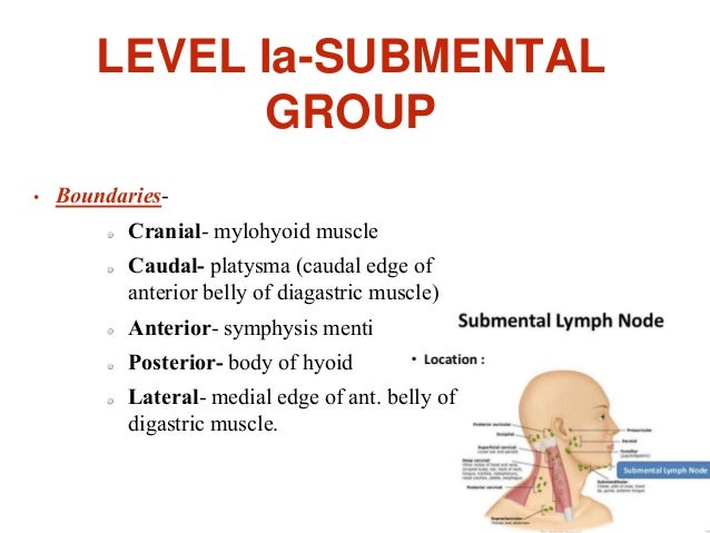 Head n neck nodal delineation ppt