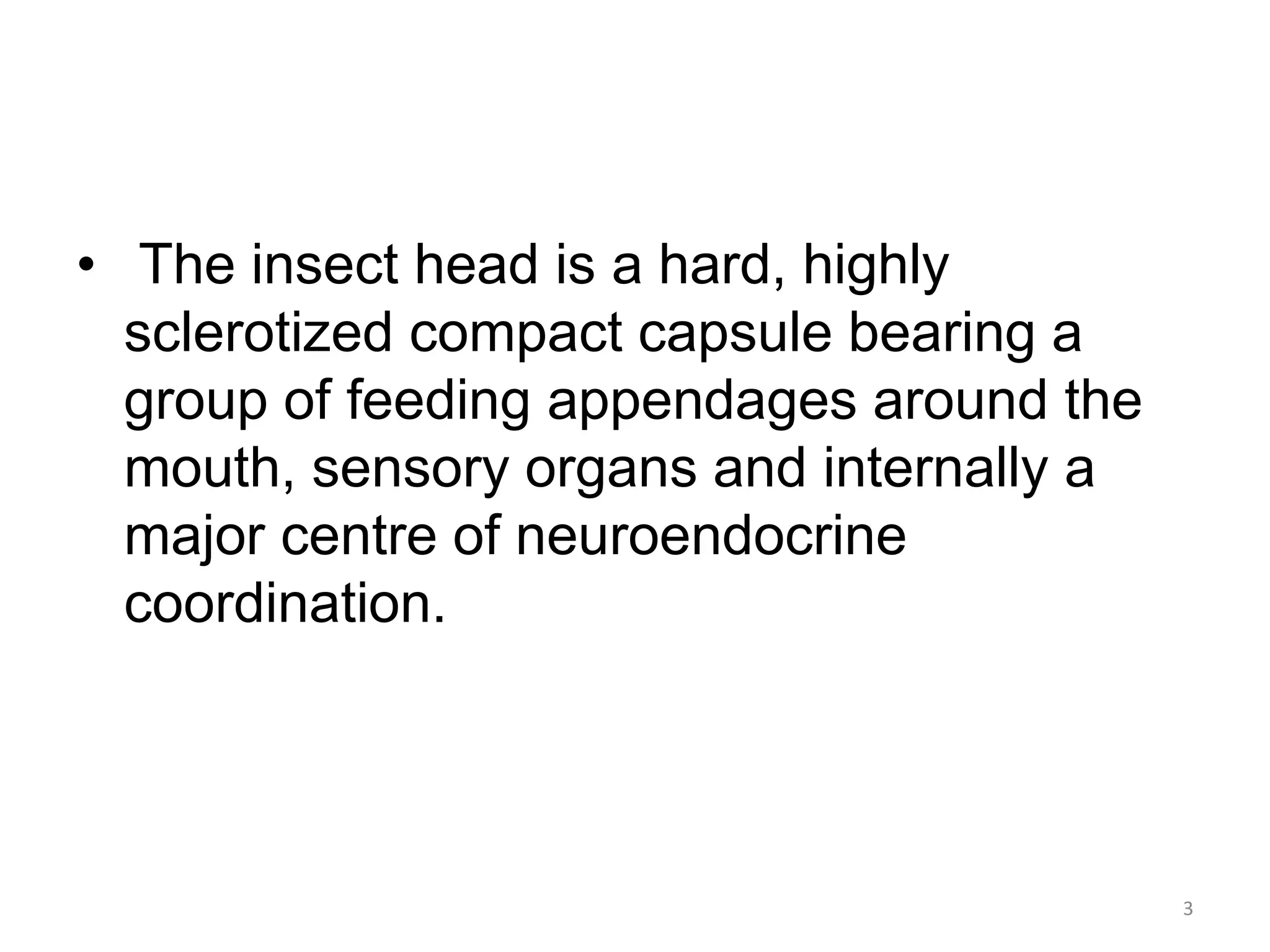 Insect head | PPTX
