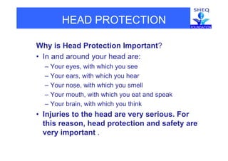 Head safety | PDF
