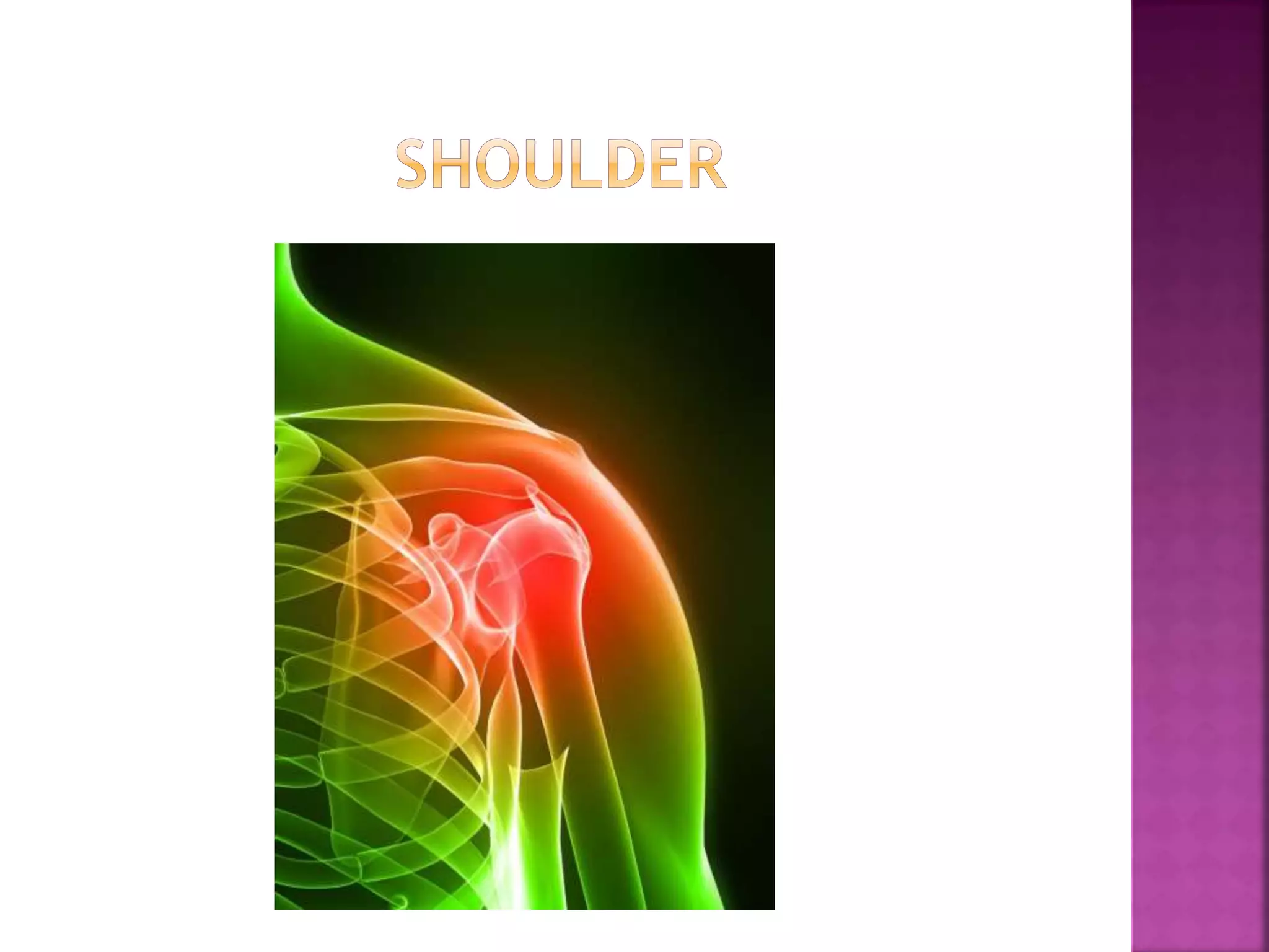 Head & shoulders, knees & toes | PPTX