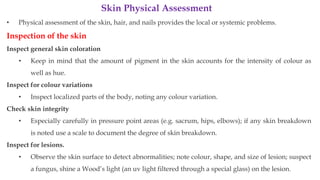 Head to Toe Assessment with Examinations | PDF