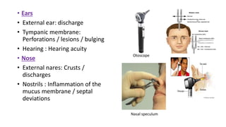 Head to toe assessment in nursing work.pptx