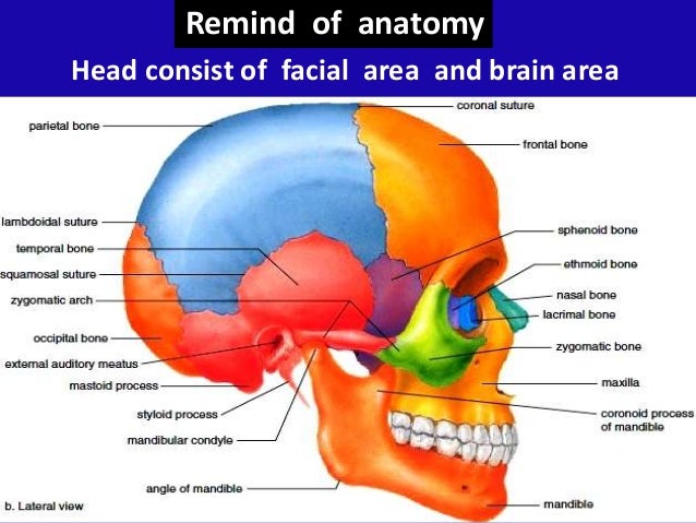 Head Trauma head-trauma