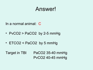 Head trauma in small animal practice | PPT