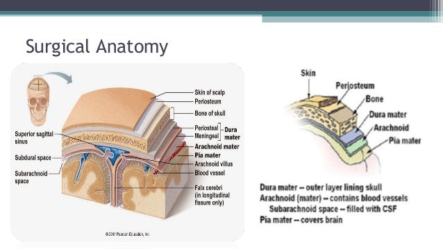 Head trauma & Management