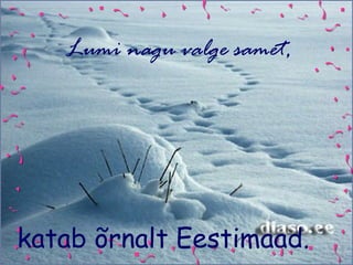 Head vana aasta lõppu sinililled | PPT