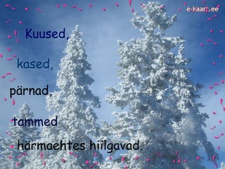 Head vana aasta lõppu sinililled | PPT