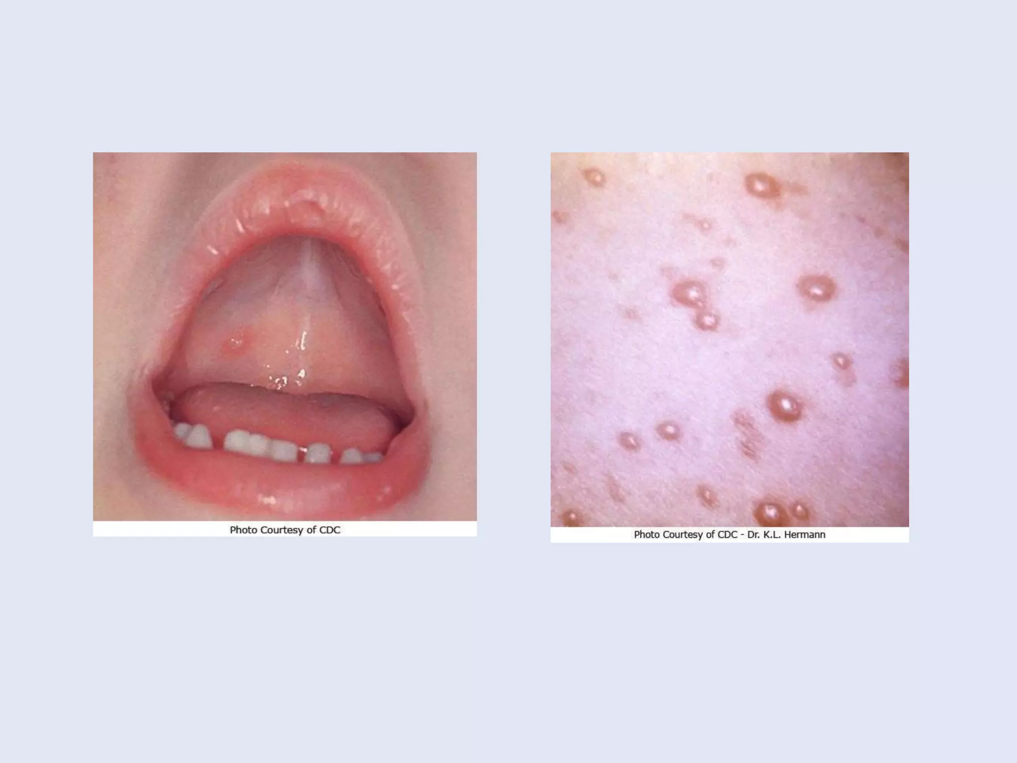 Heair grouth cycal and oral cavity and skin (1) | PPTX