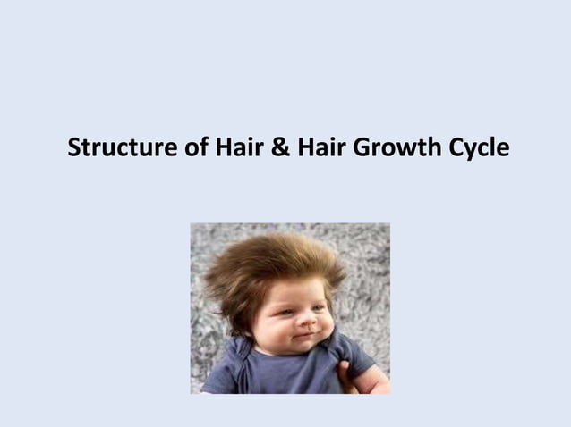Heair grouth cycal and oral cavity and skin (1) | PPTX