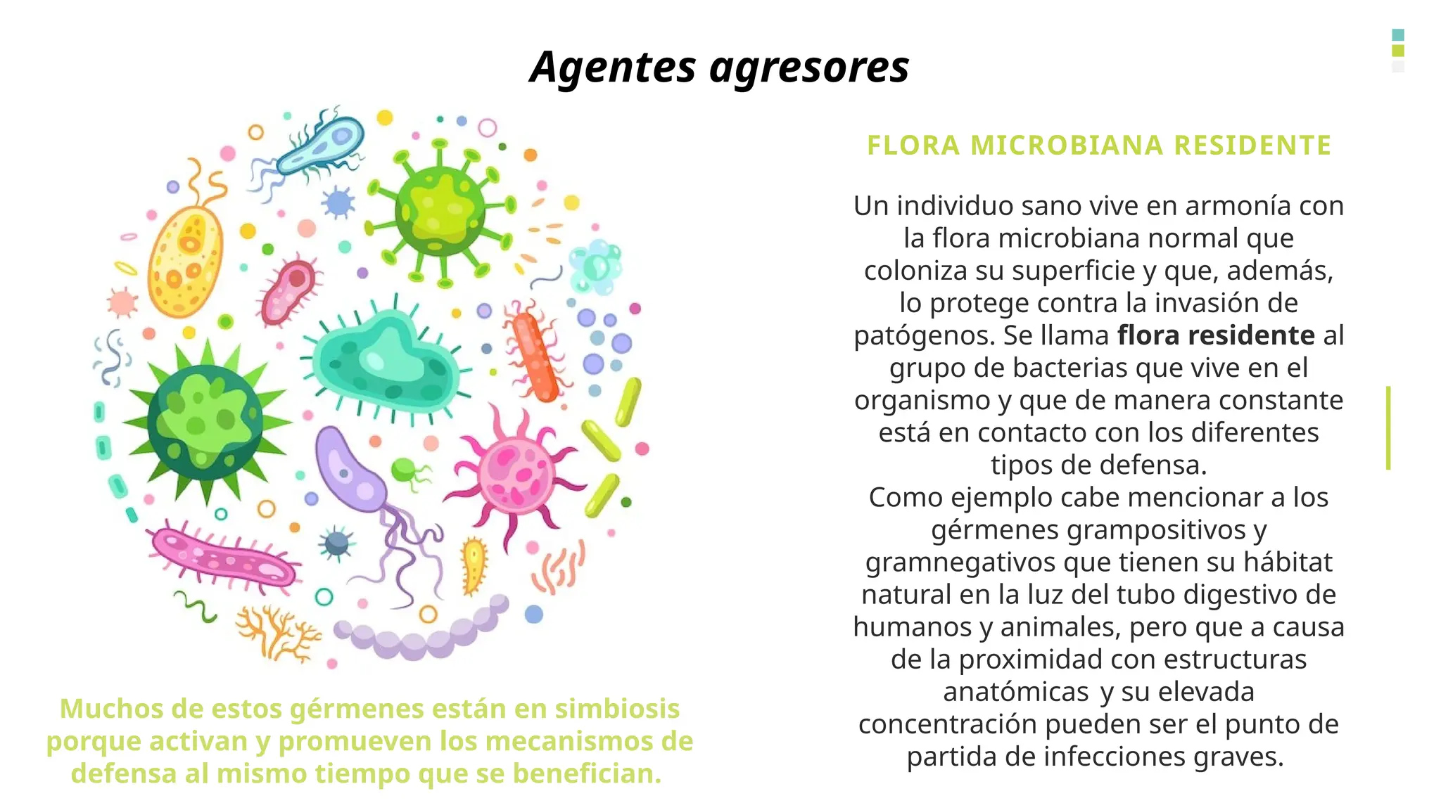 infecciones en cirugía y patogenos asociados | PPTX