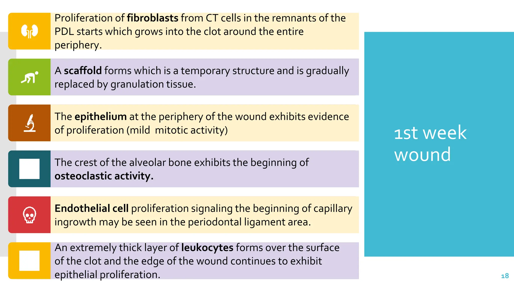 healing of extraction socket power point presentation | PPTX