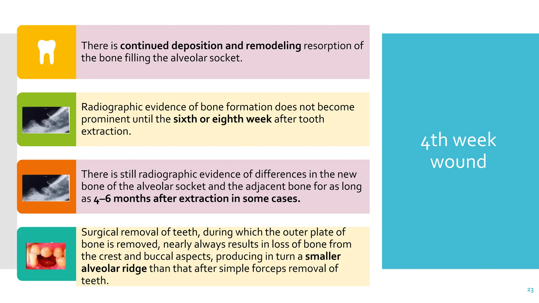 healing of extraction socket power point presentation | PPTX