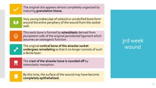 healing of extraction socket power point presentation | PPTX