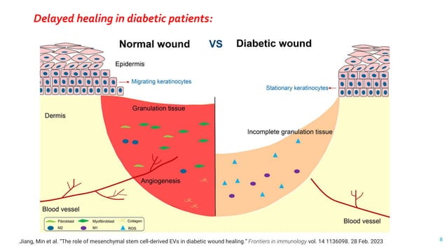 healing of extraction socket power point presentation | PPTX | Dental ...