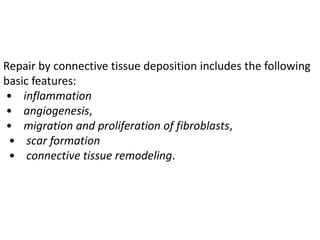 Healing and repair | PPT