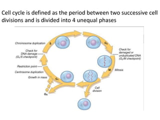 Healing and repair | PPT