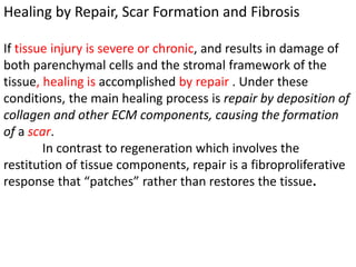 Healing and repair | PPTX