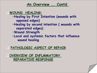 Healing and repair | PPT