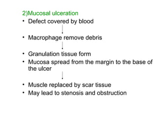 Healing and repair specialized tissue- 3 | PPT