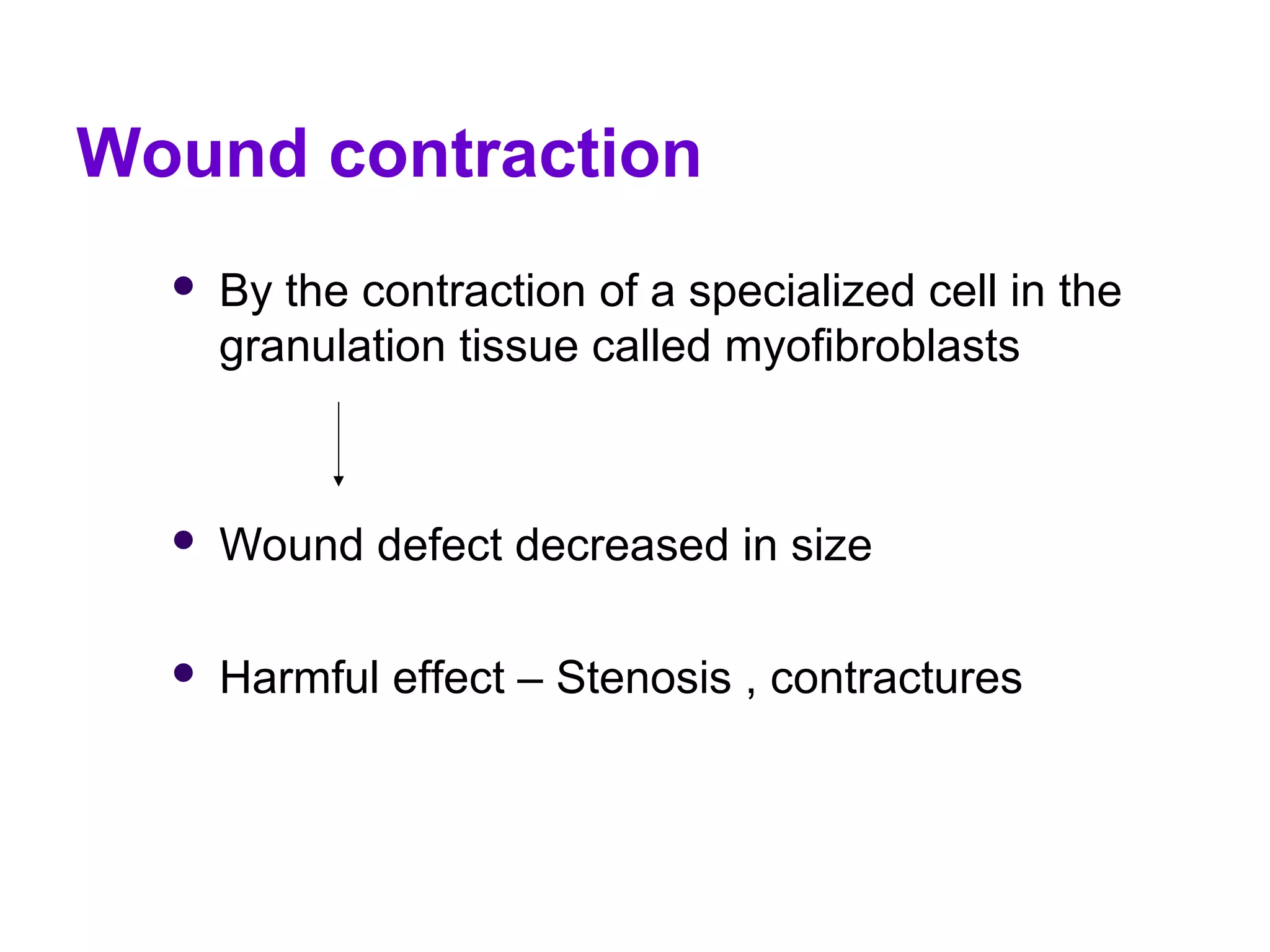 Healing and repair | PPT