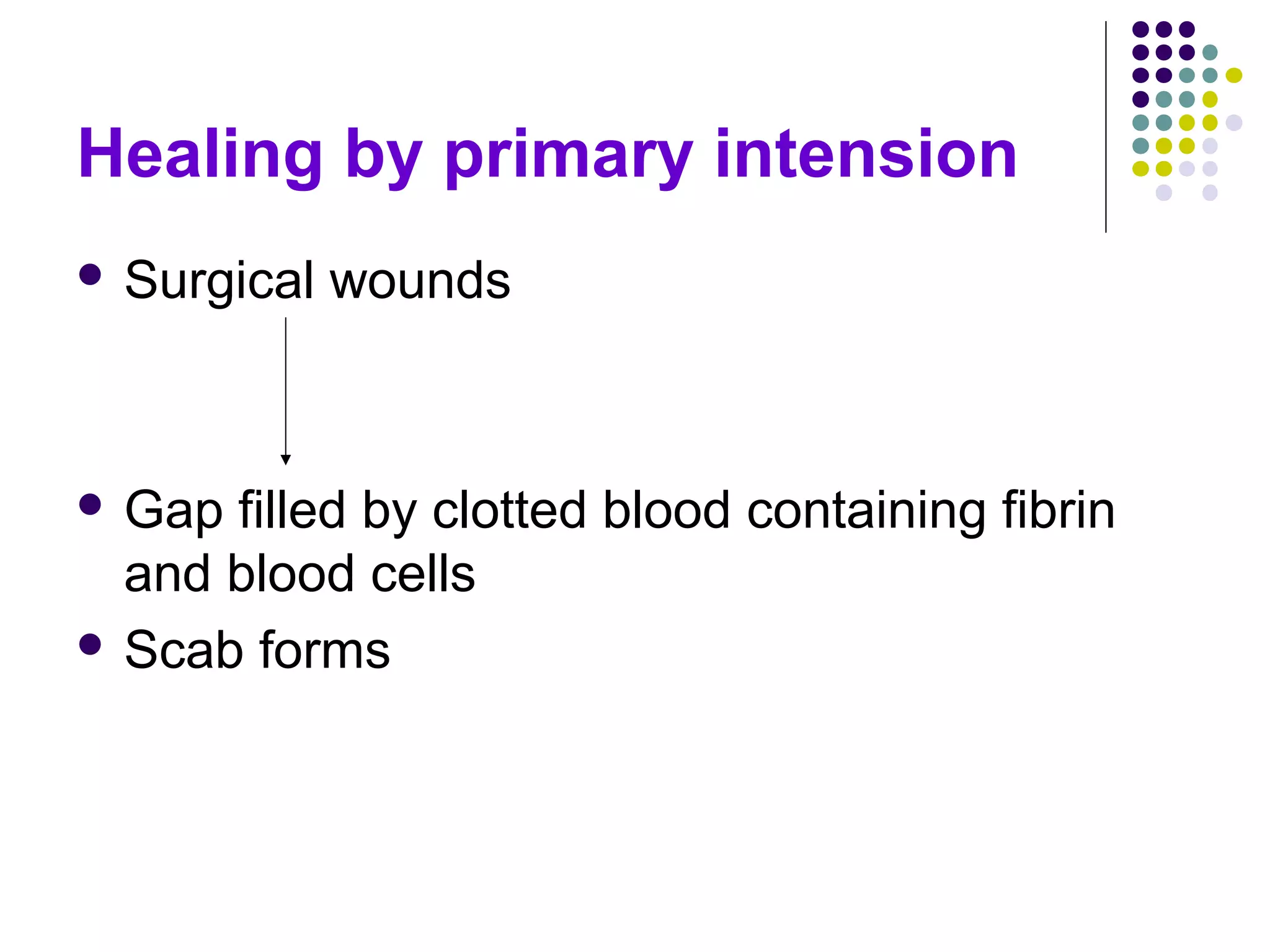 Healing and repair | PPT