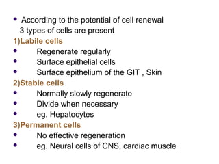Healing and repair | PPT