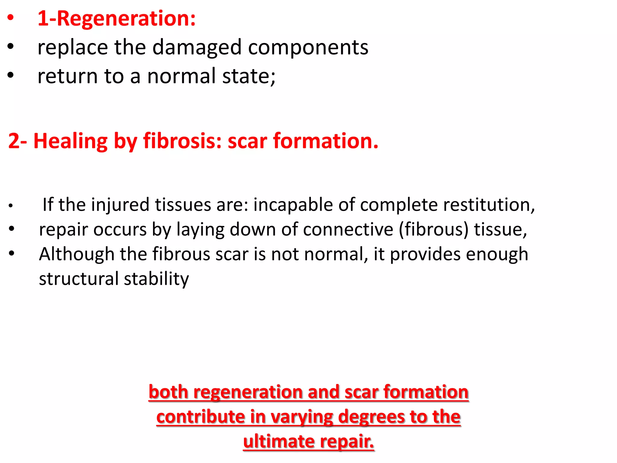 healing and repair omer altahir.pptx