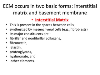 healing and repair omer altahir.pptx