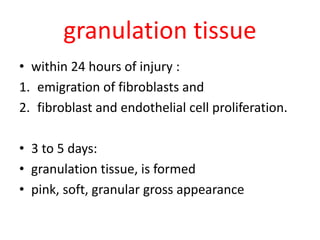 healing and repair omer altahir.pptx