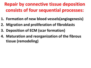 healing and repair omer altahir.pptx